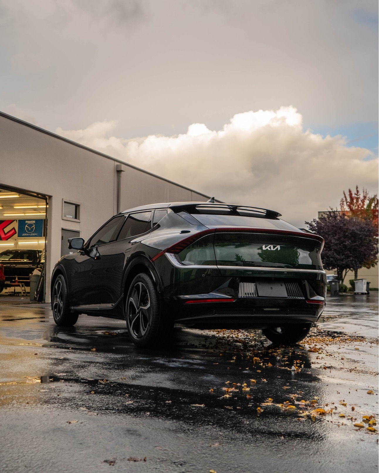 Image Gallery | Blue Star Auto Salon